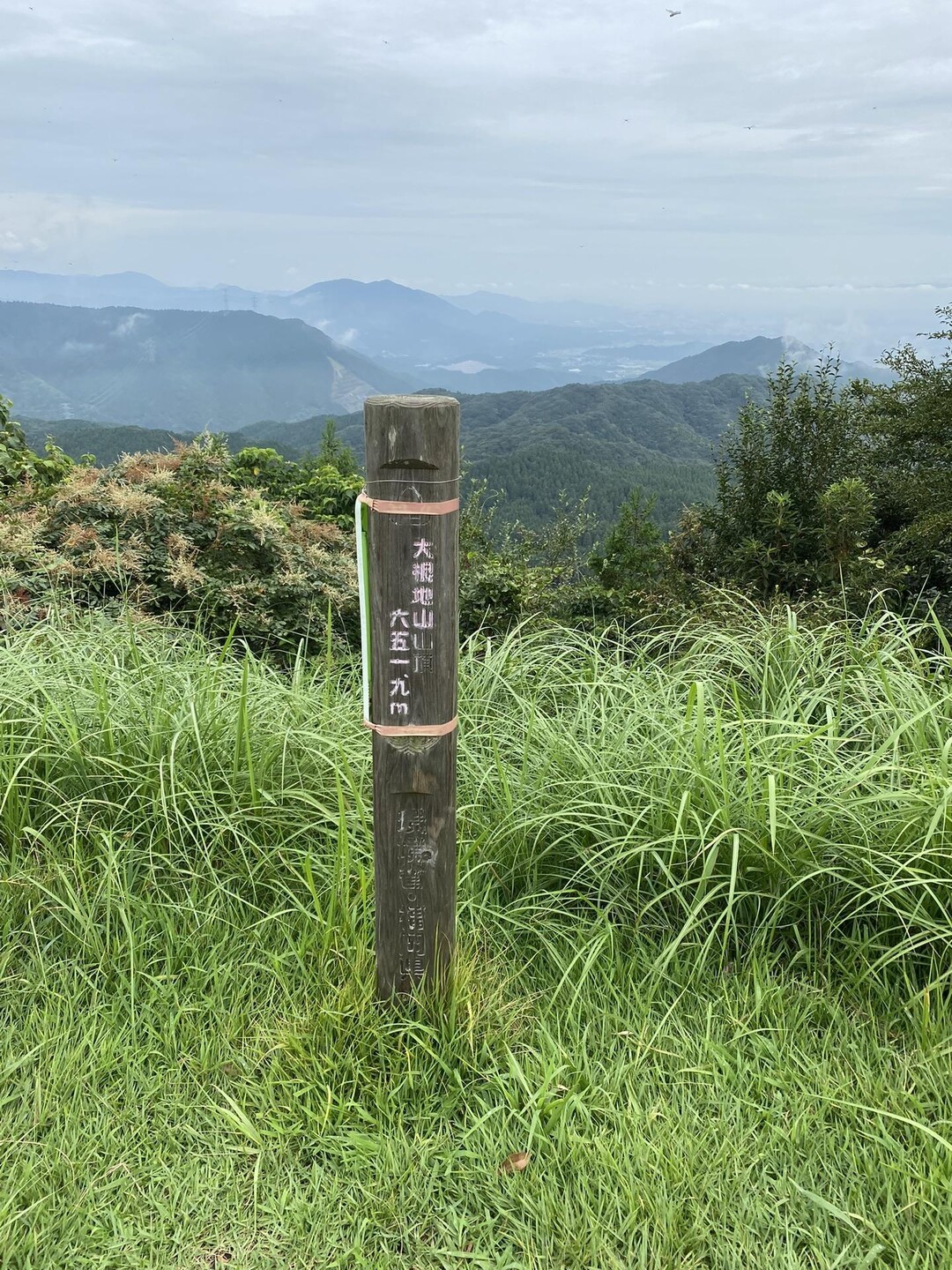 大根地山 / Kayさんの大根地山の活動データ | YAMAP / ヤマップ