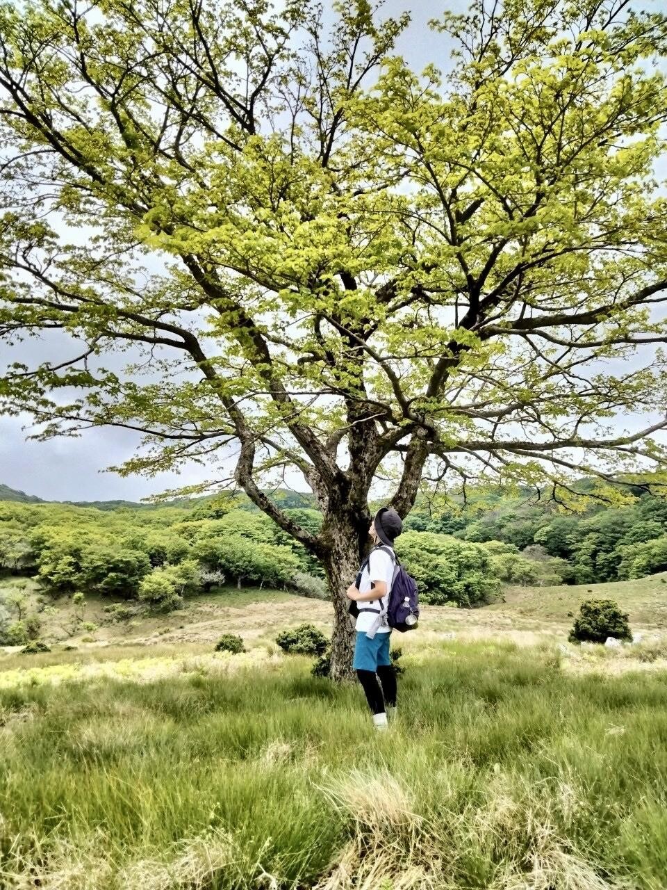 初夏の風が爽やか… / KAYOさんの天狗堂の活動データ | YAMAP / ヤマップ