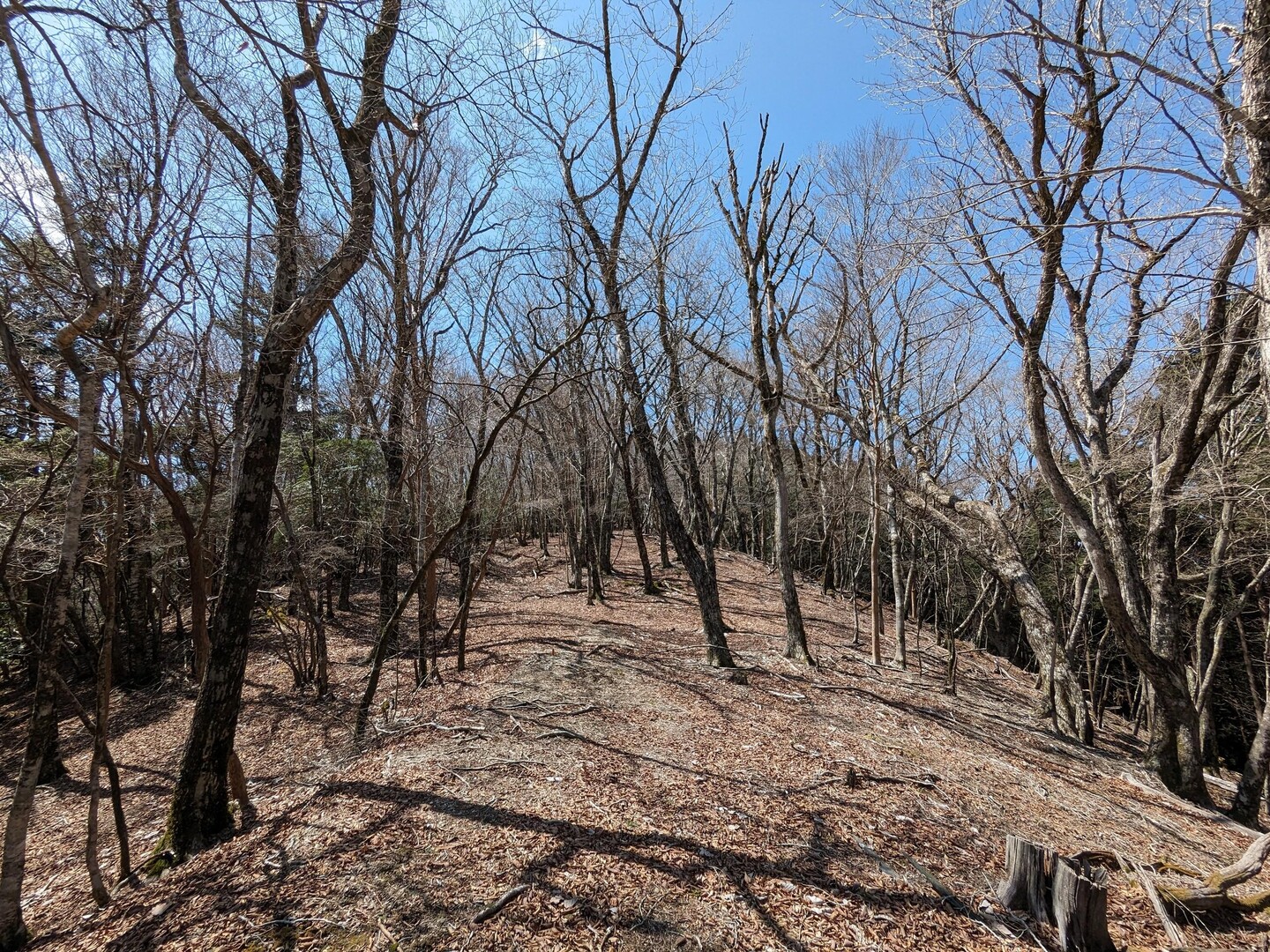 🤓牛廻山💦近畿百名山#84 / "satoh"さんの牛廻山・大峠山の活動データ | YAMAP / ヤマップ