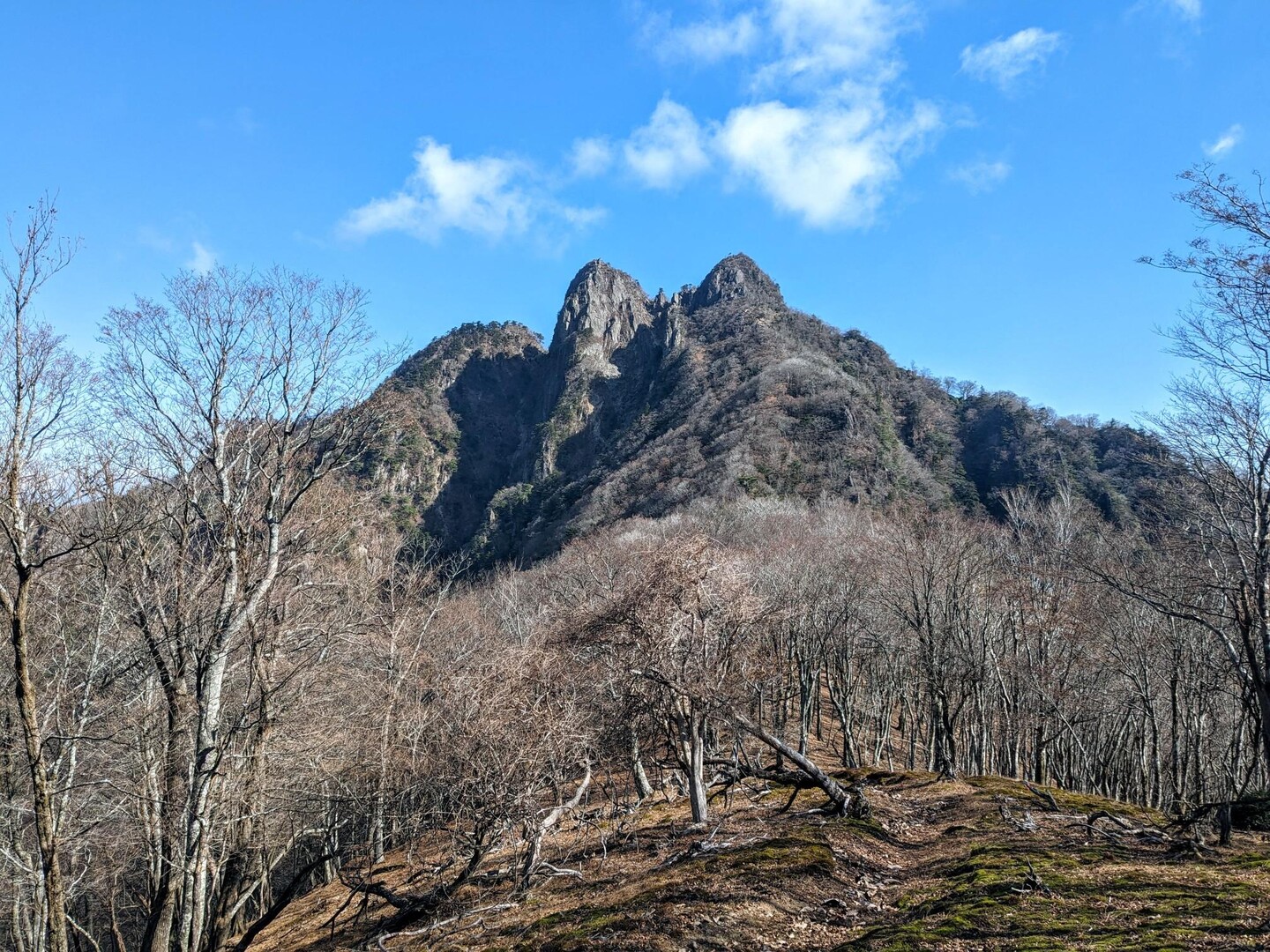 傾山 / eryiさんの傾山の活動データ | YAMAP / ヤマップ