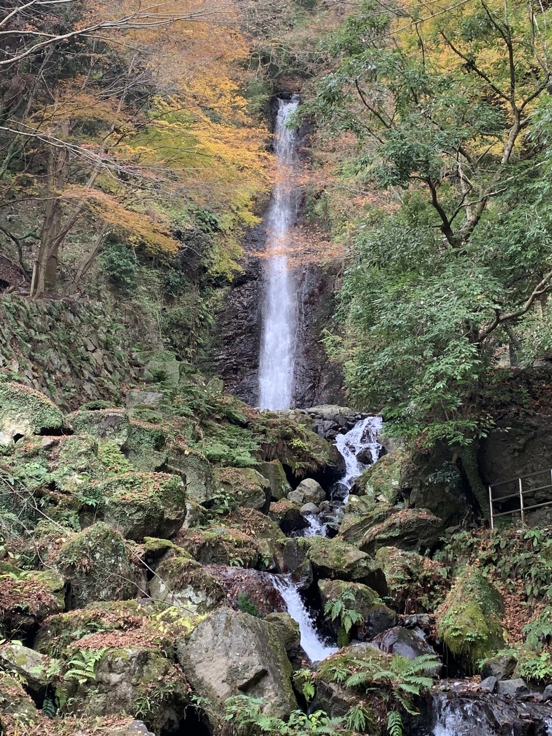 三方山・北尾根P826峰 / たかさん1123さんの養老山・笙ヶ岳・三方山の活動データ | YAMAP / ヤマップ