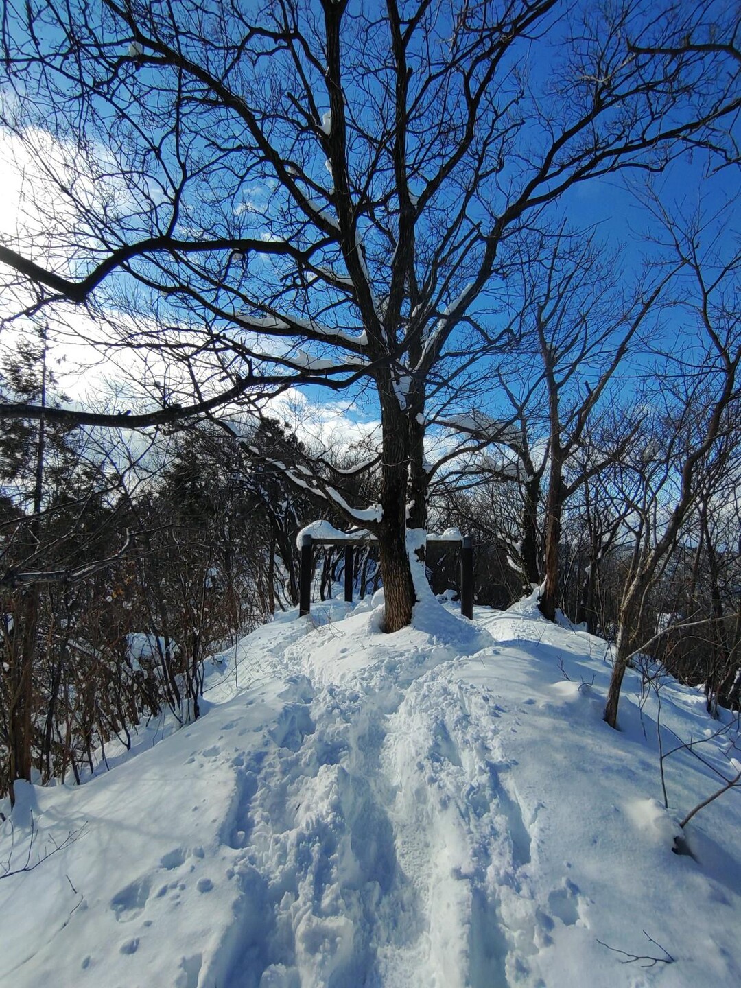 角田山 ほたるの里コース 49-30 / P-kanさんの角田山の活動データ | YAMAP / ヤマップ