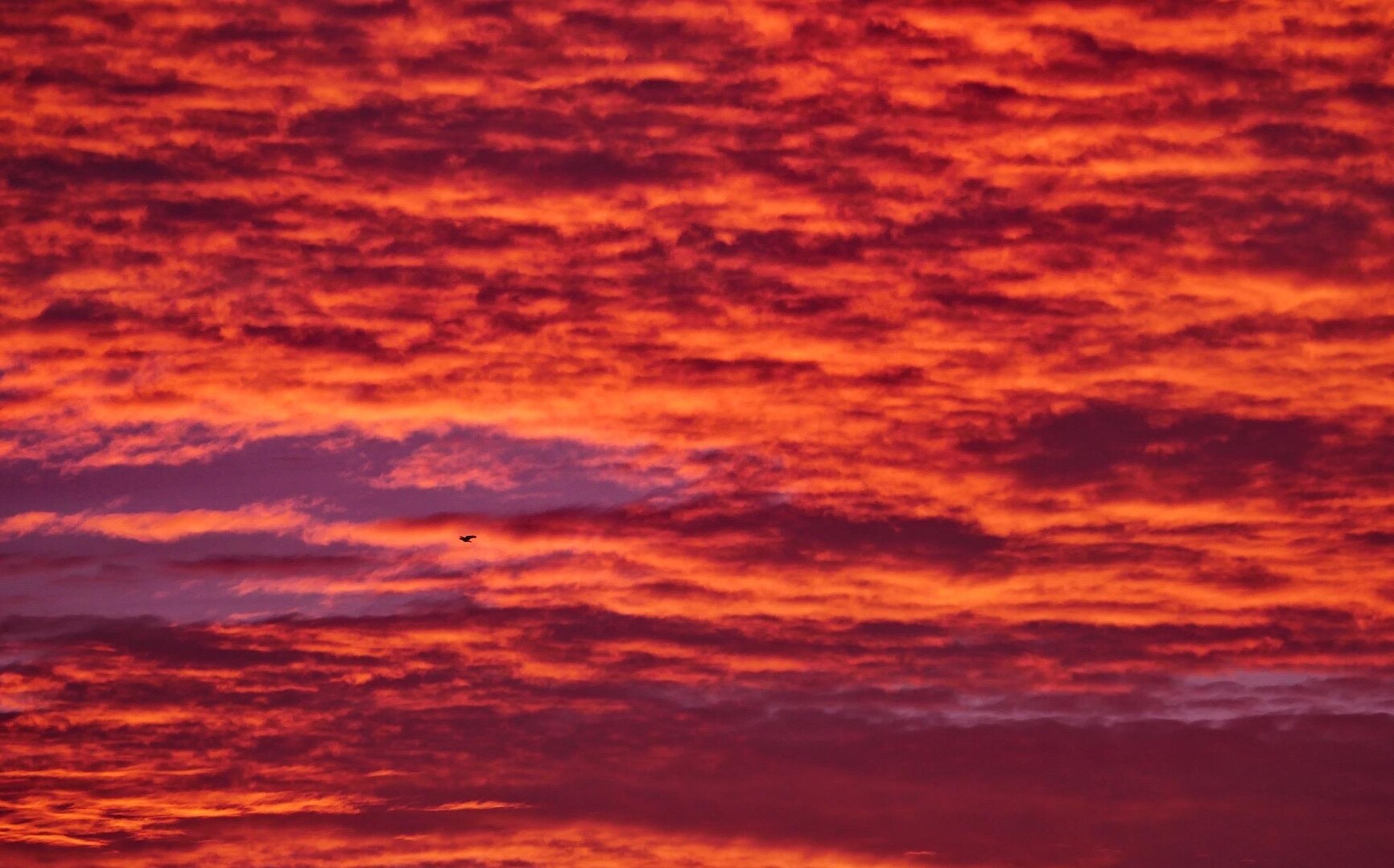 早起きしたらカーテン越しに朝焼けの色が綺... / ziziさんのモーメント | YAMAP / ヤマップ