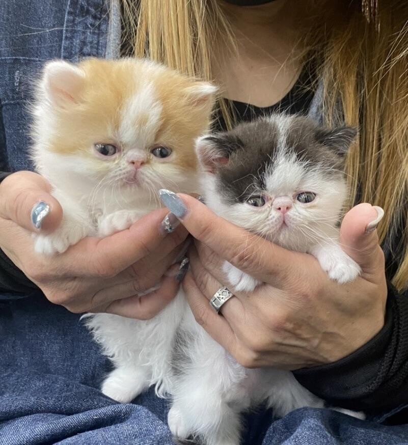 rieのページ | YAMAP / ヤマップ