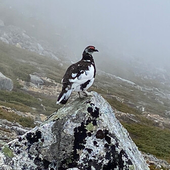 toshiのページ | YAMAP / ヤマップ