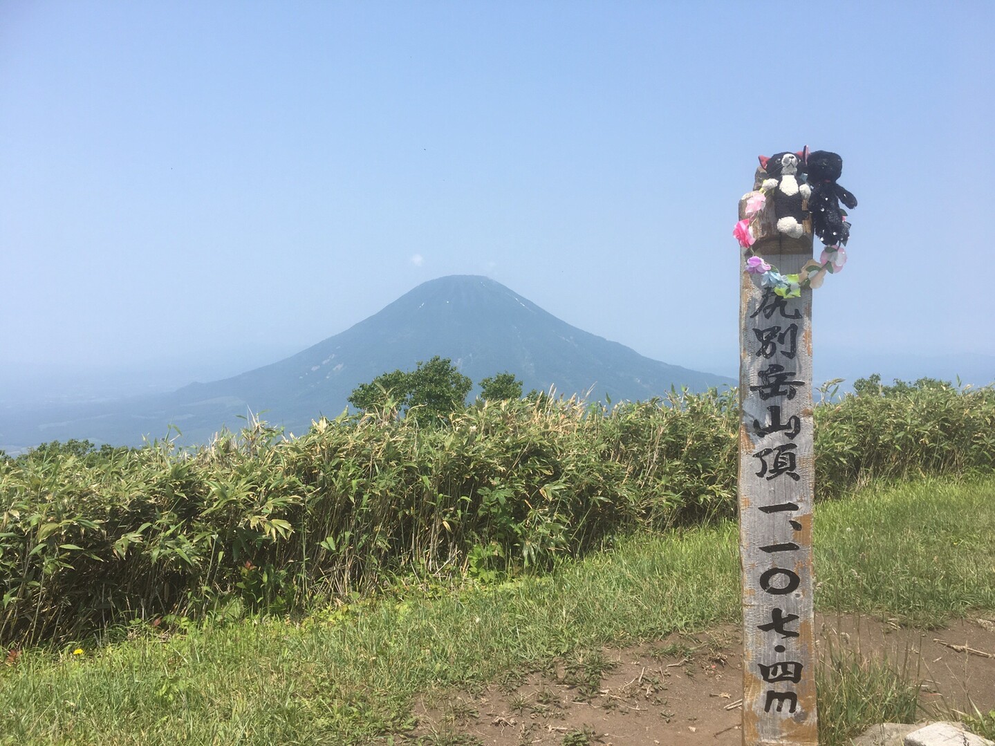 熊情報があった尻別岳 / Mt.catさんの尻別岳の活動日記 | YAMAP / ヤマップ
