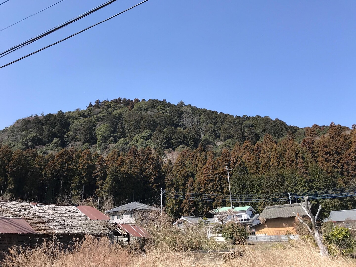 御前山2023-03-11 / midoriさんのウォーキングの活動データ | YAMAP / ヤマップ