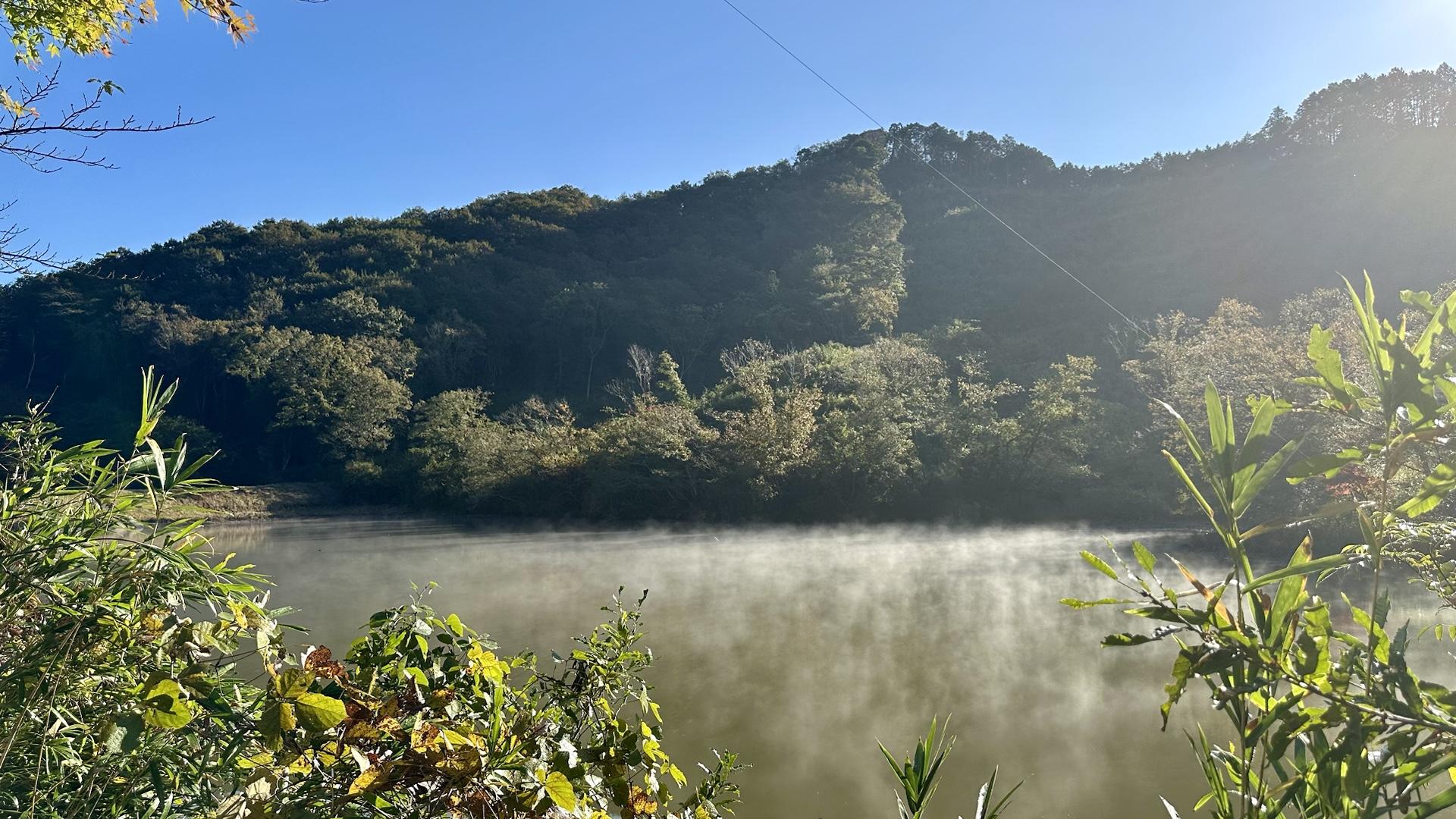 仕事忙しすぎて、休日まで活動😭 でも、... / Haroldさんのモーメント | YAMAP / ヤマップ