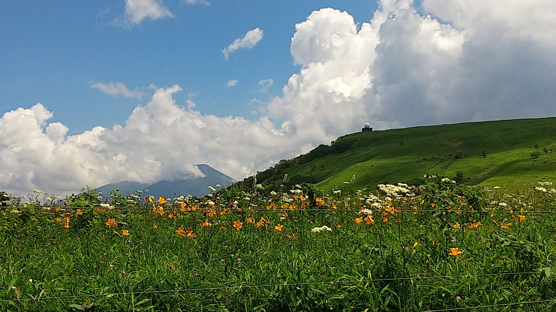 3年ぶりの夏山、霧ヶ峰へ / yokkoさんの霧ヶ峰・車山・大笹峰の活動日記 | YAMAP / ヤマップ