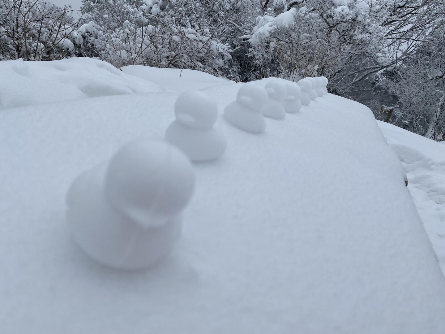 2023年登り初め 皿ヶ嶺 2023-1-29 / TA-oneさんの皿ヶ嶺・梅ヶ谷山・うなめごの活動日記 | YAMAP / ヤマップ