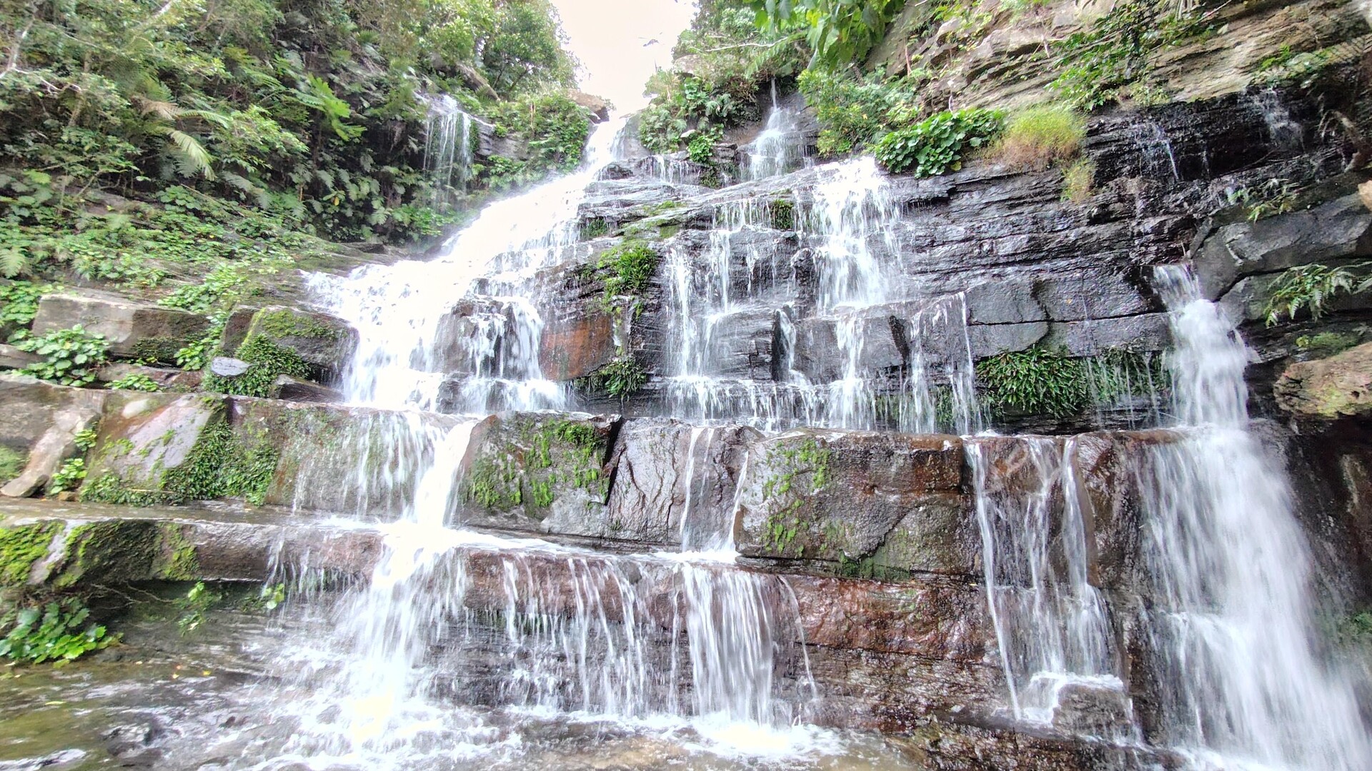 西表島、奥ゲータの滝 / goemonさんの西表島の活動データ | YAMAP / ヤマップ