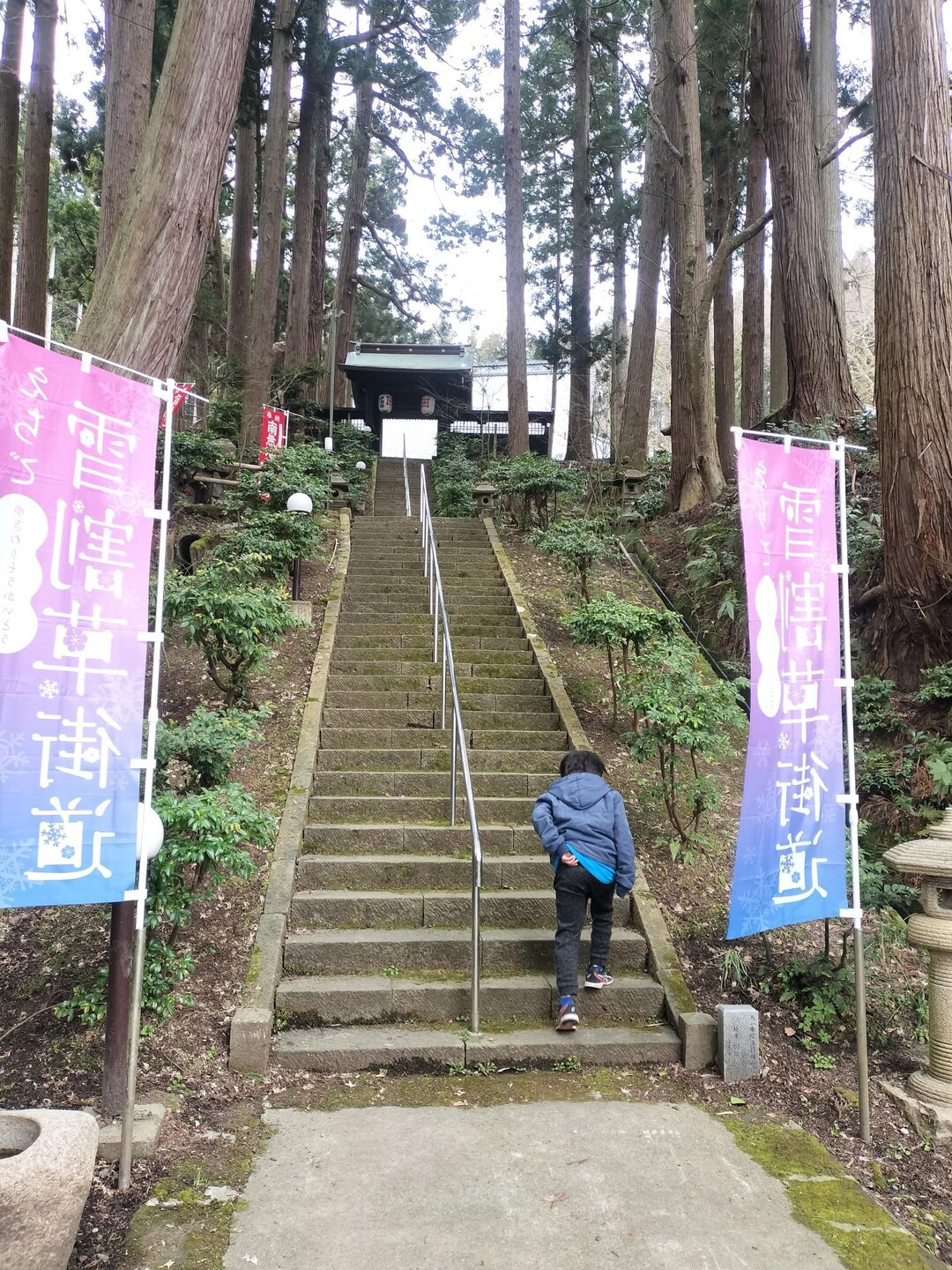 ②長岡わしま 里山歩き 村岡城跡周辺 / nontan さんのモーメント | YAMAP / ヤマップ