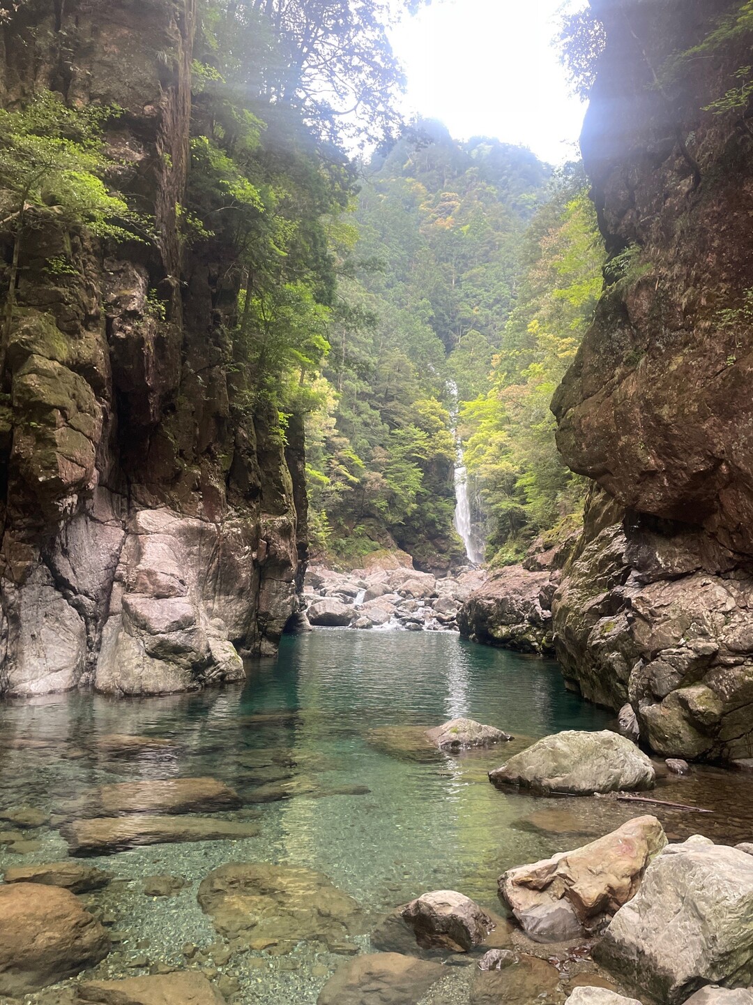 大杉谷渓谷⇄大台ヶ原山（日出ヶ岳） / nagait01さんの大台ヶ原山・日出ヶ岳・大杉谷の活動データ | YAMAP / ヤマップ
