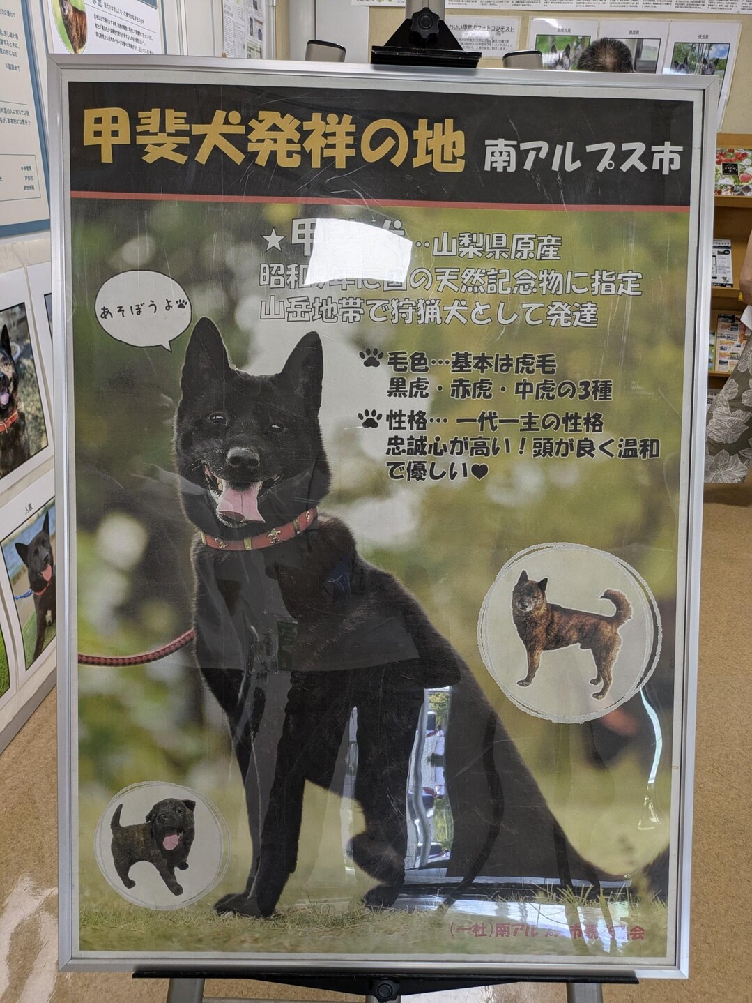 芦安夜叉神峠 高谷山でヤマップ手ぬぐいゲット / hitomiさんの鳳凰山・地蔵岳・観音岳・薬師岳の活動データ | YAMAP / ヤマップ