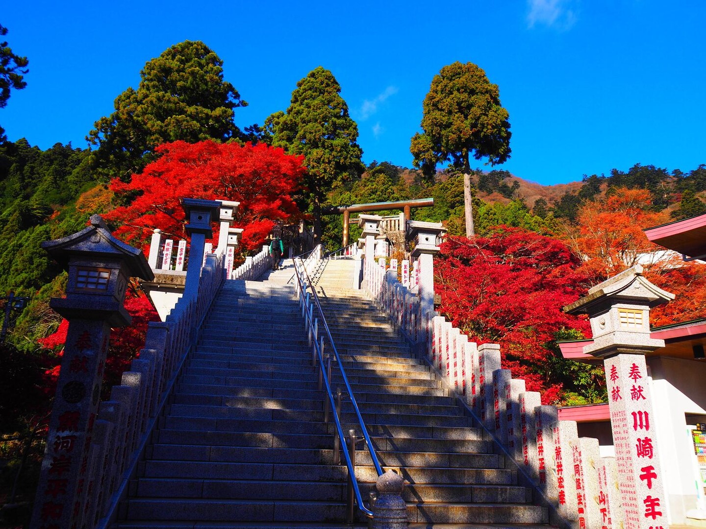 一人登山 相模大山で紅葉狩り / YYさんの大山の活動データ | YAMAP / ヤマップ