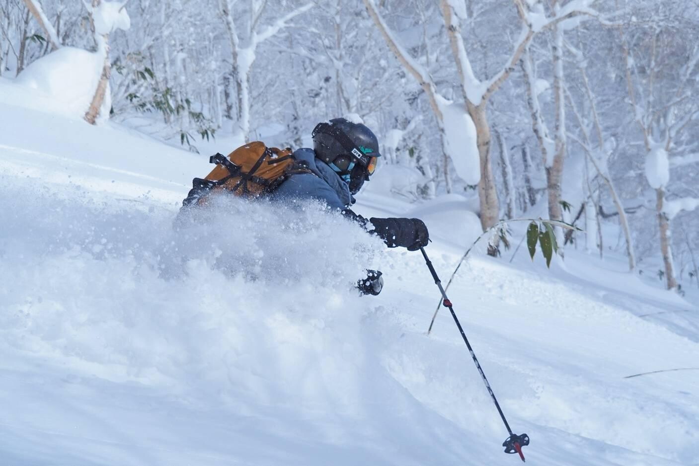 羊蹄山（墓地の沢）BC-2024-12-29 / うちゅうさんの羊蹄山（蝦夷富士）の活動データ | YAMAP / ヤマップ