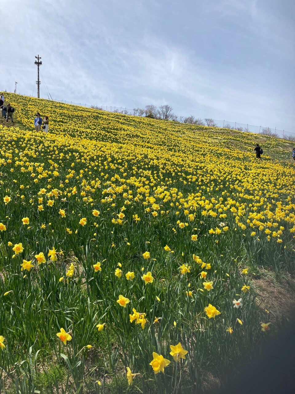 2021.05.08(土) 12:47 / milkさんのモーメント | YAMAP / ヤマップ