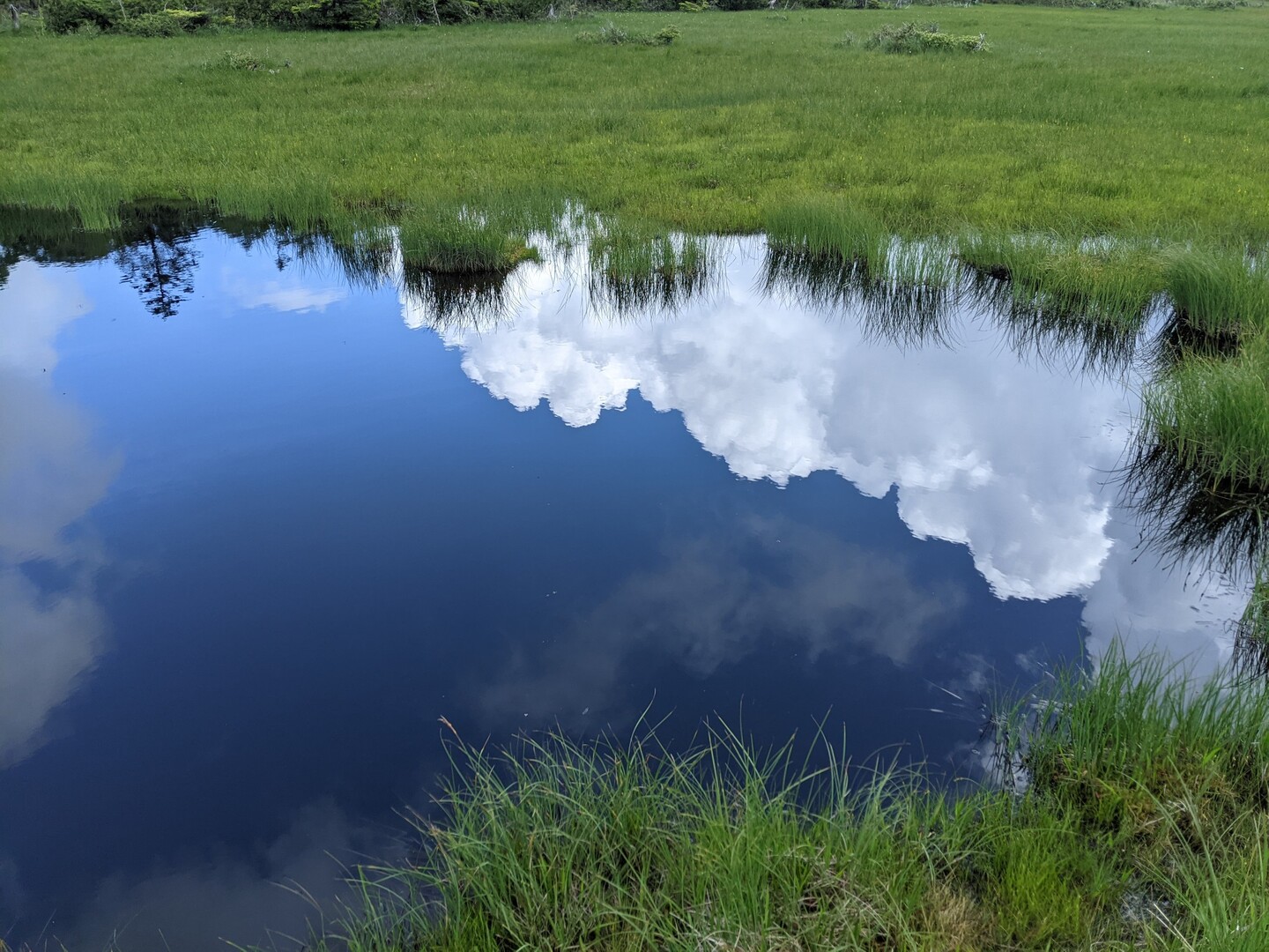 202107_鬼怒沼山 / Minamiさんの登山の活動データ | YAMAP / ヤマップ