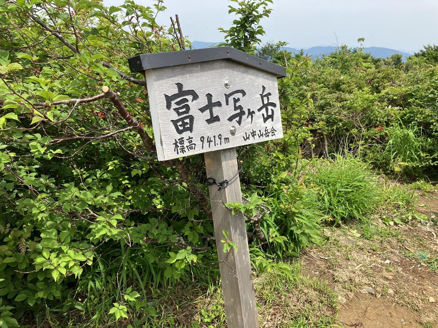 梅雨の晴れ間の不惑新道 (火燈山・小倉谷山・富士写ヶ岳) / sono_01さんの富士写ヶ岳・小倉谷山・火燈山の活動データ | YAMAP / ヤマップ