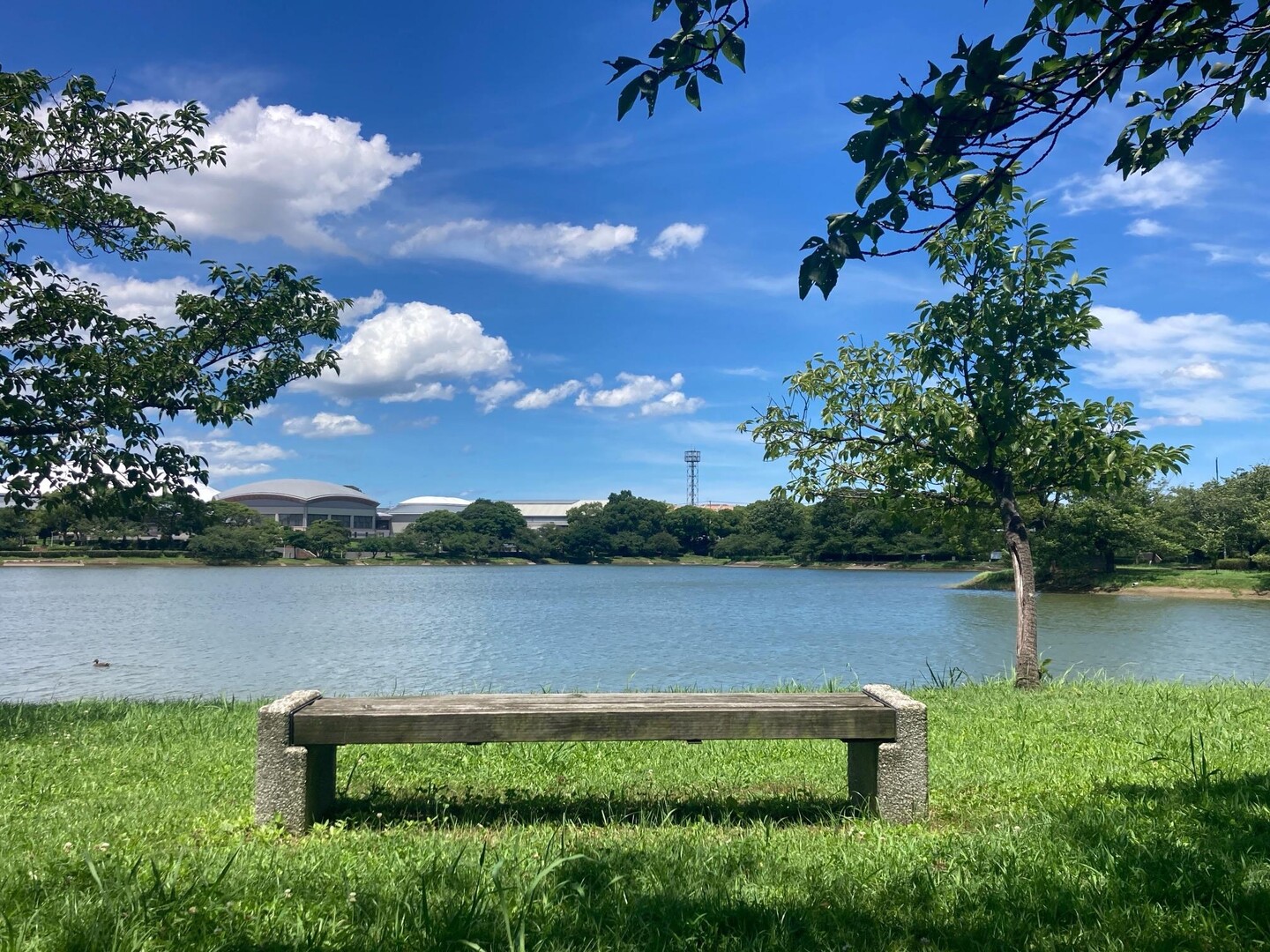 駕与丁公園ウォーキング🚶‍♂️ / ozumaさんの井野山の活動データ | YAMAP / ヤマップ