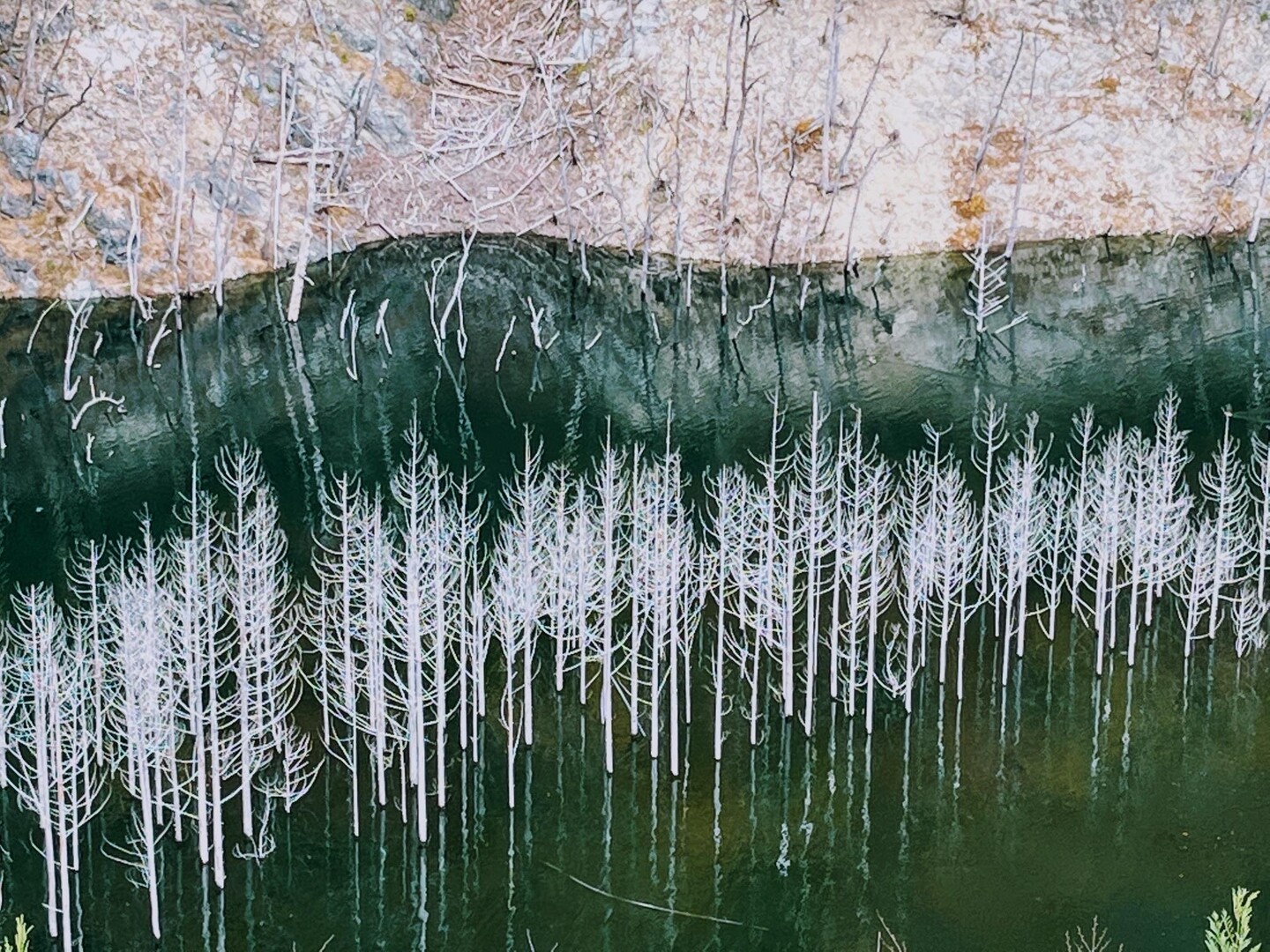 2022/11/03 日光市湯西川 Ro... / Reverse Warriorさんのモーメント | YAMAP / ヤマップ
