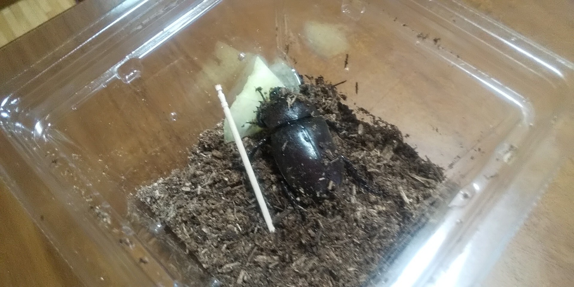 先週の縦走で膝を痛めてしまいました。 1... / tottinさんのモーメント | YAMAP / ヤマップ