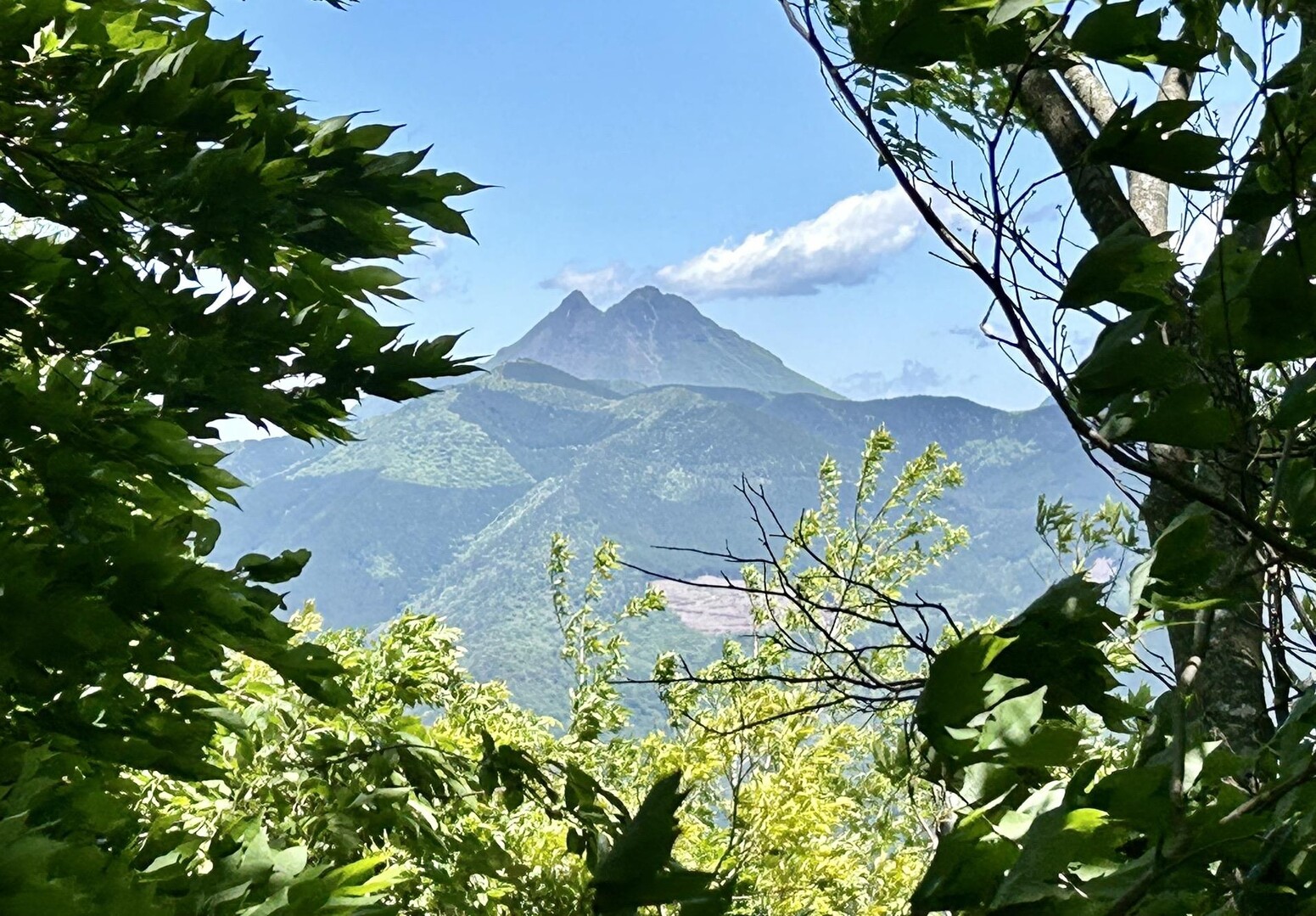 とんでもなく爆風の日に((´∀`*))時山 / datinさんの熊群山の活動データ | YAMAP / ヤマップ