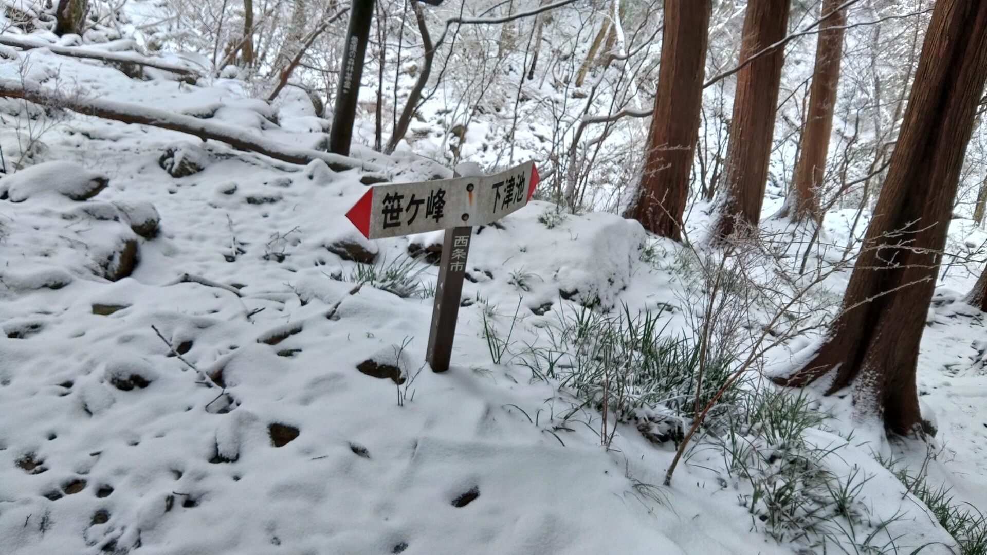 笹ヶ峰・寒風山・平家平-2022-12-02 / takayoshi88さんの笹ヶ峰・寒風山・平家平の活動データ | YAMAP / ヤマップ