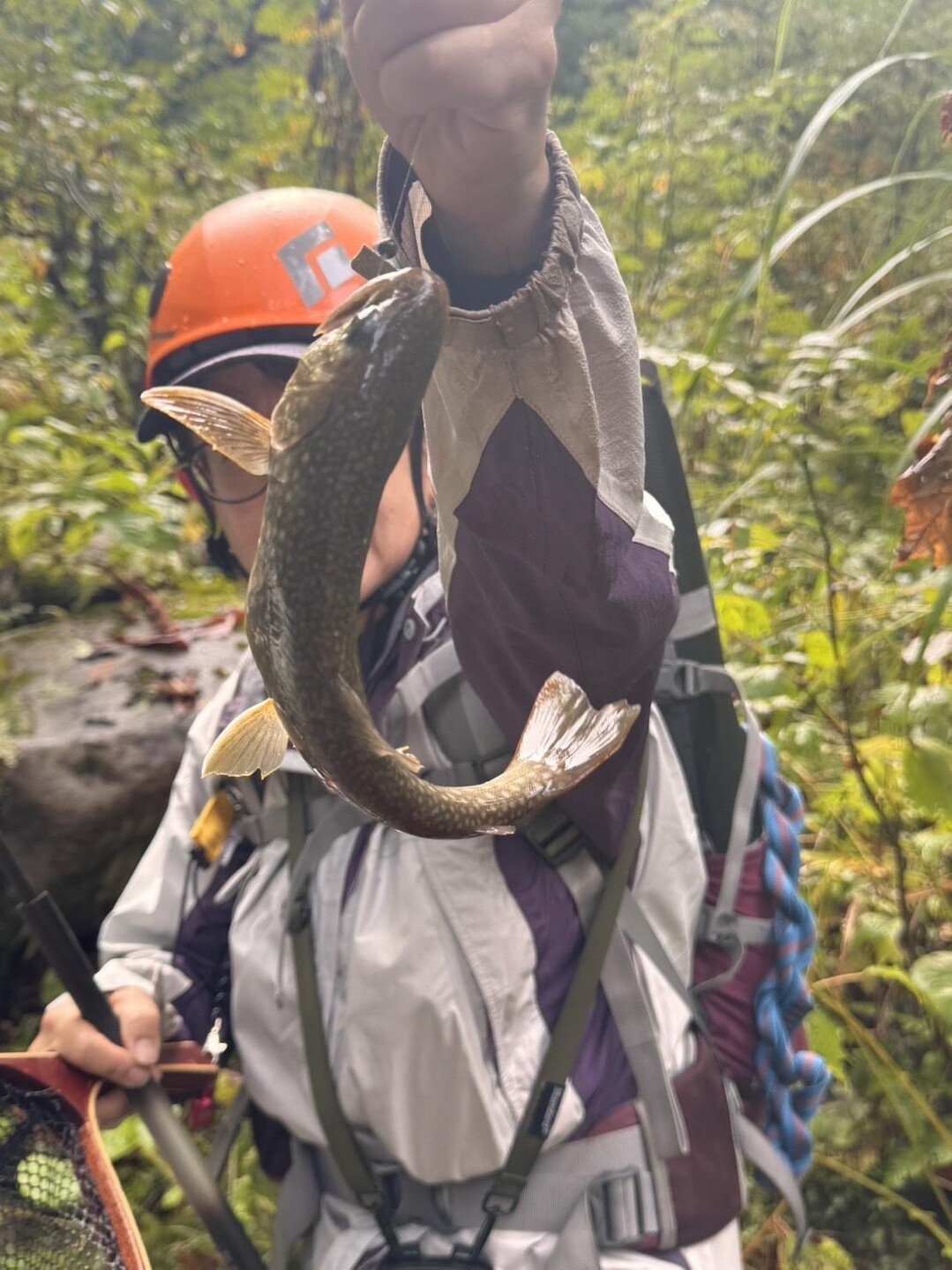 大津岐川の再会は不調だった⁉️帰りも / Tamamizuさんの会津駒ヶ岳の活動データ | YAMAP / ヤマップ