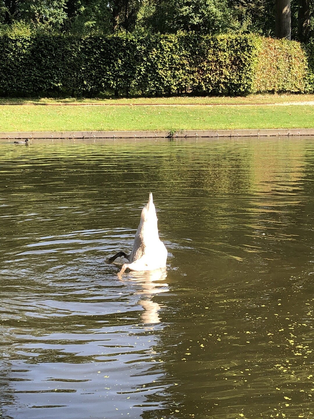 2022.08.25(木) 15:18 / ペンさんのモーメント | YAMAP / ヤマップ