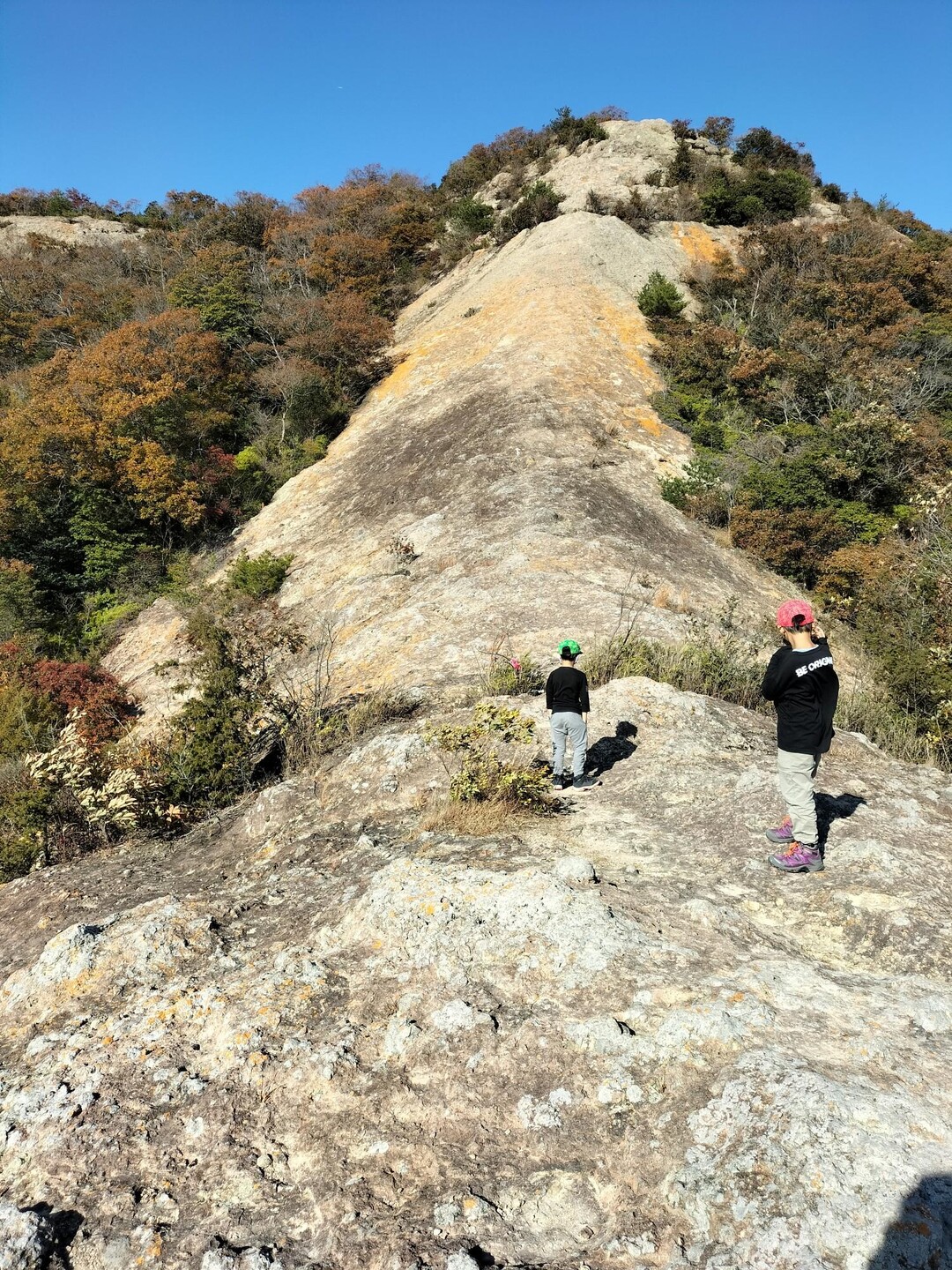 惣山(小野富士)・紅山 / tomarinさんの小野アルプス（紅山・惣山）の活動データ | YAMAP / ヤマップ