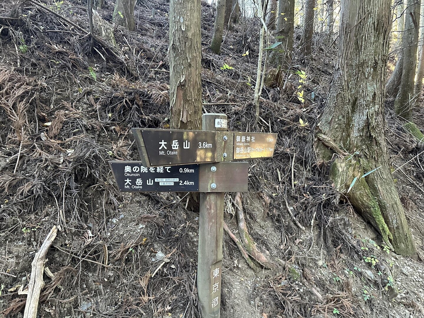 Em(エム)さんの投稿したフィールドメモ | YAMAP / ヤマップ