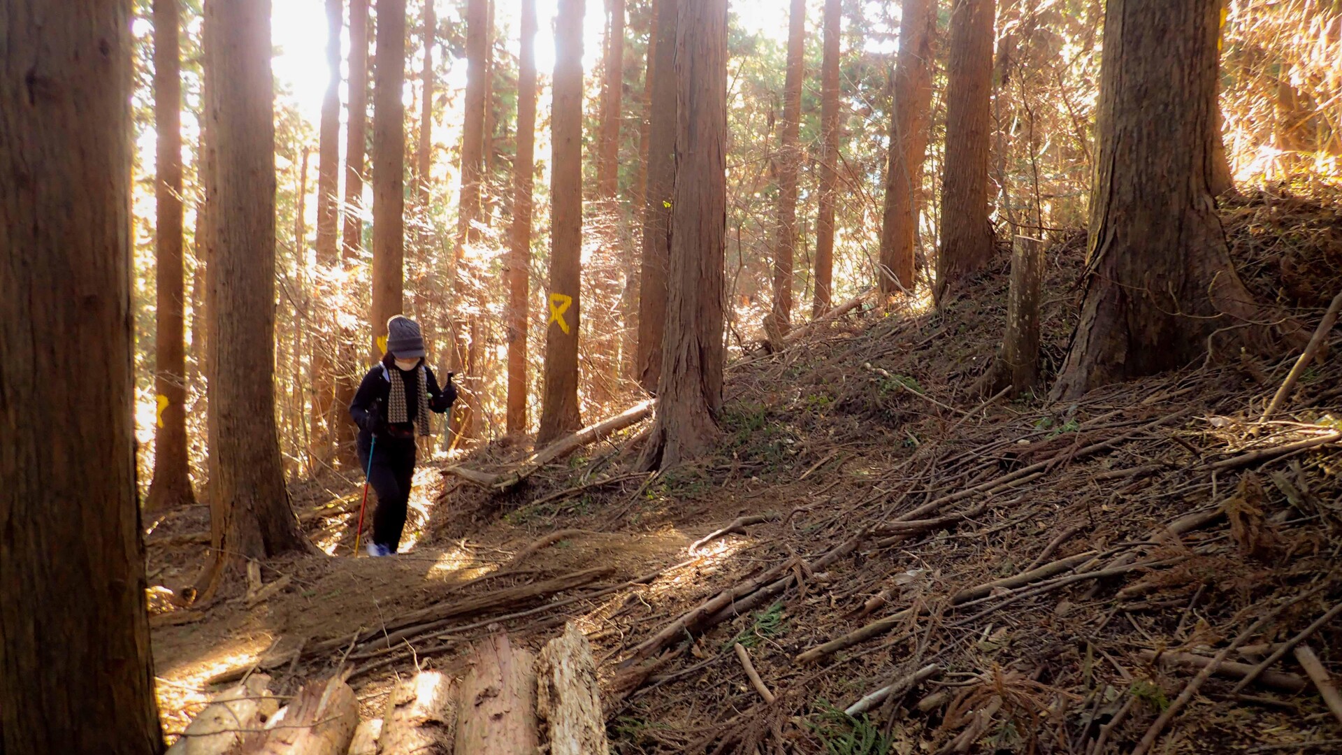 陣馬山縦走: 夫婦登山2nd / loonloonさんの高尾山・陣馬山・景信山の活動データ | YAMAP / ヤマップ