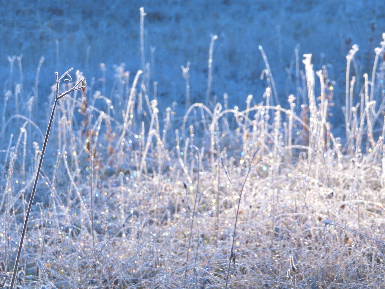 朝日に輝く霜降の籾糠山 / asimkさんの籾糠山の活動日記 | YAMAP / ヤマップ