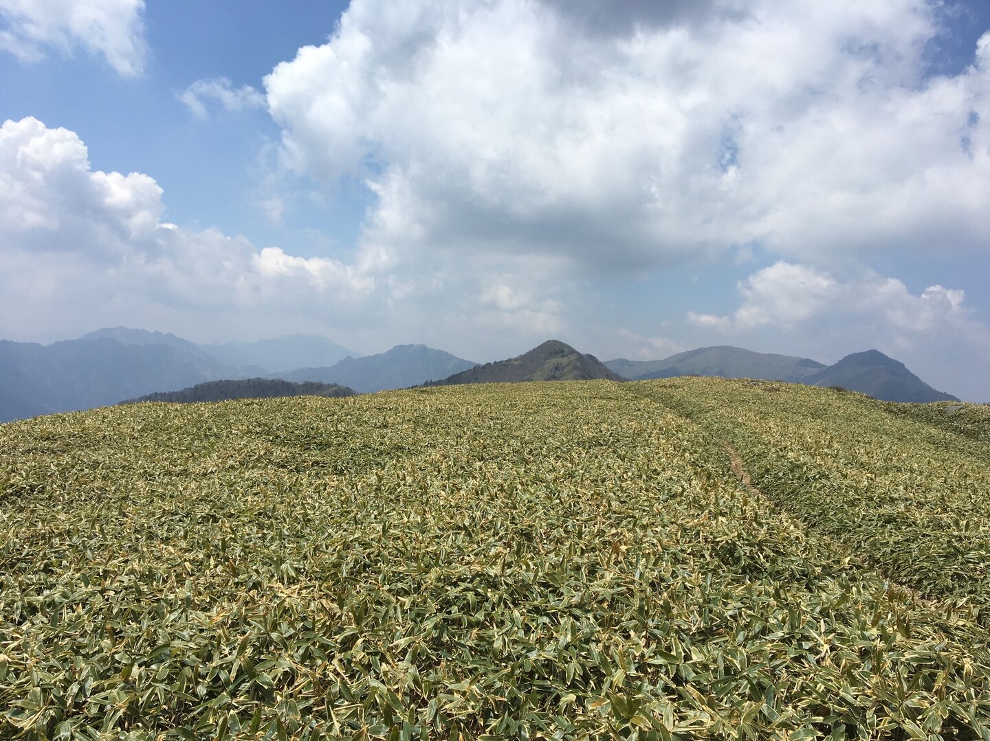 冠山 1,732m 平家平 1,693m / コウさんの笹ヶ峰・寒風山・平家平の活動データ | YAMAP / ヤマップ