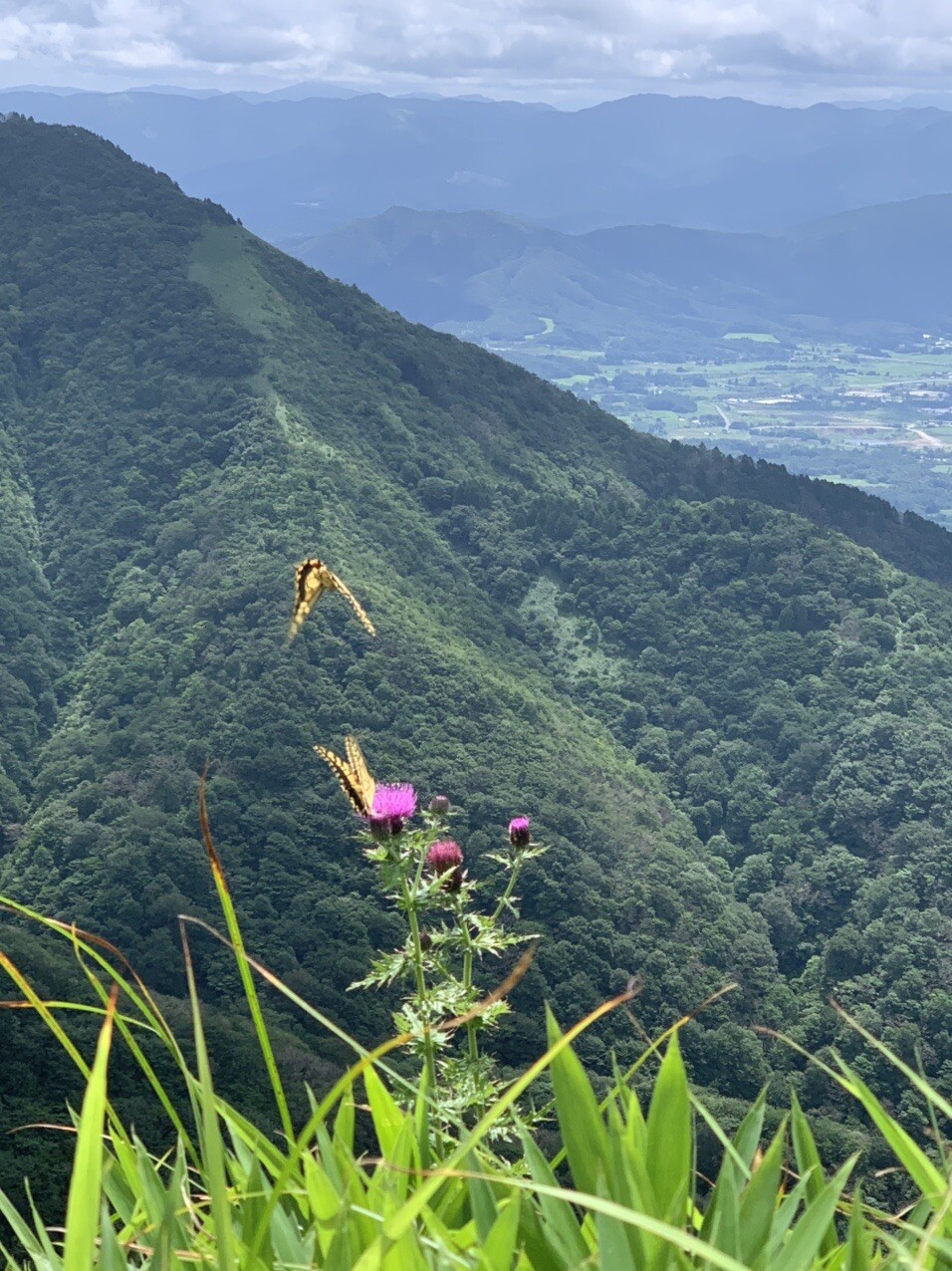 these days No,56 ... / Wis⁂さんのモーメント | YAMAP / ヤマップ