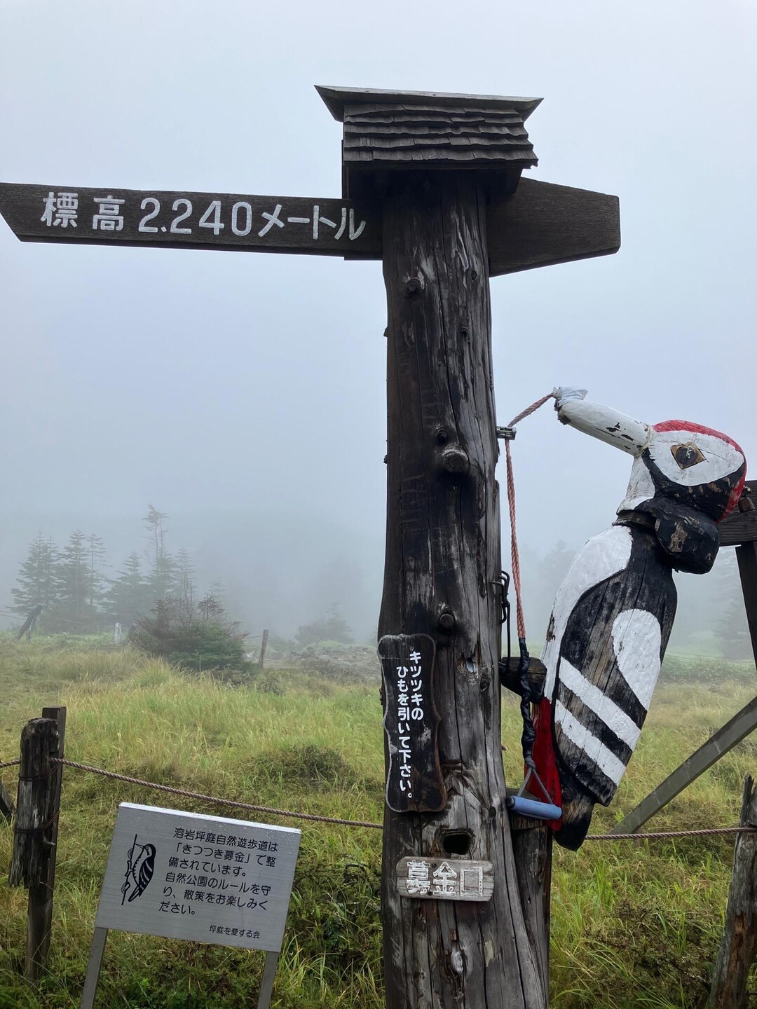 北横岳 / GOYAさんの蓼科山・横岳・縞枯山の活動データ | YAMAP / ヤマップ