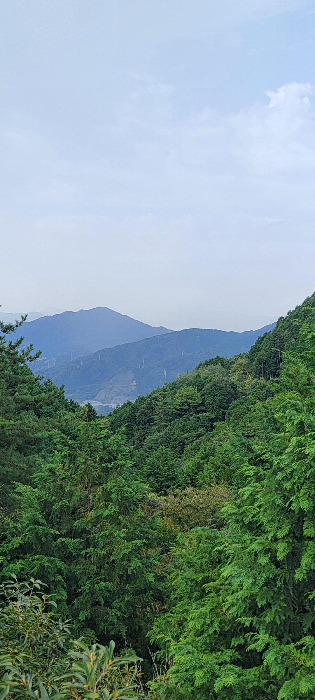 野呂山・膳棚山-2024-10-21 野呂山登頂断念…💦 / teruさんの野呂山・膳棚山の活動データ | YAMAP / ヤマップ