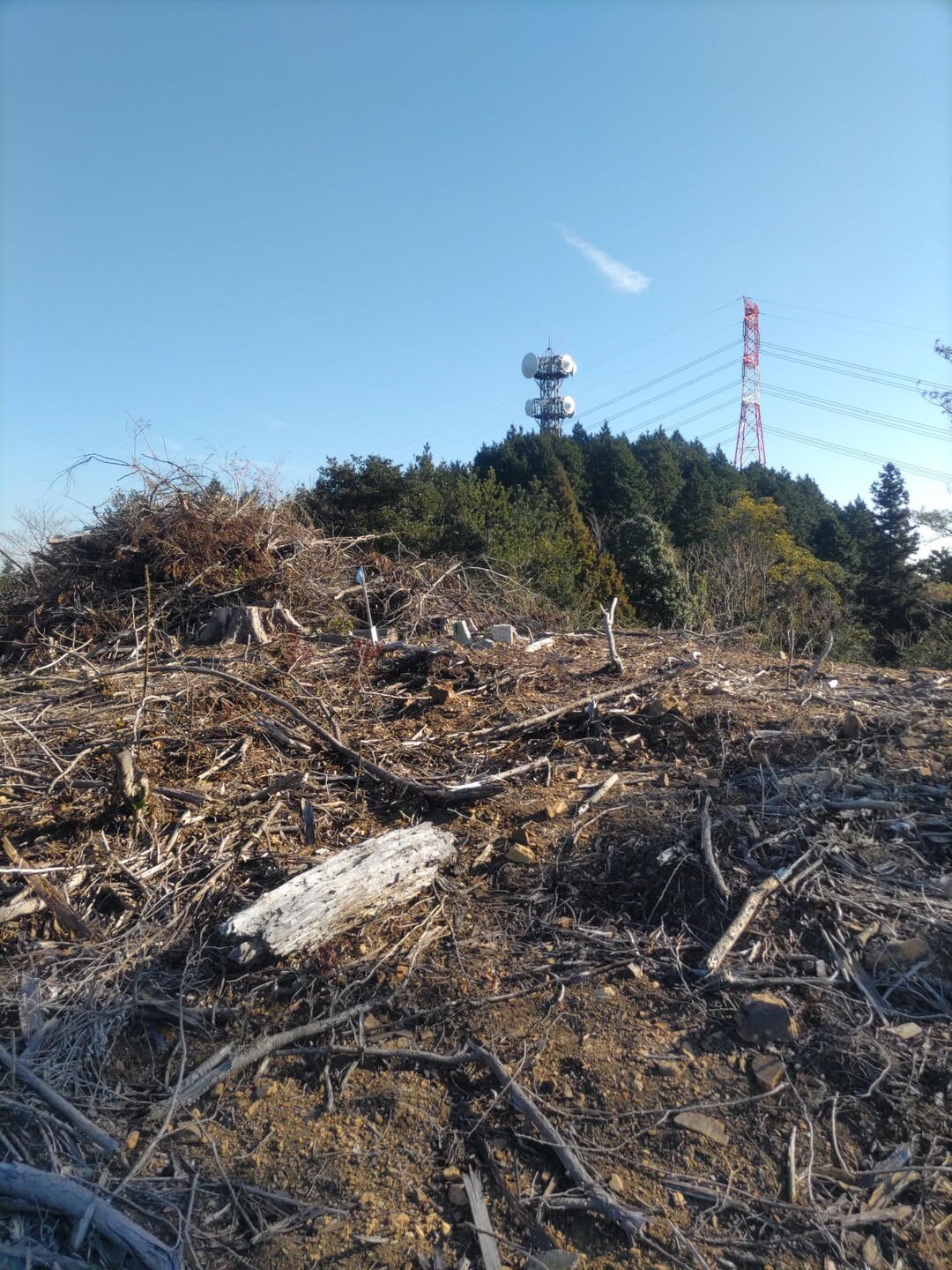 大臼山・白山・若山 / せんべいさんの九六位山の活動日記 | YAMAP / ヤマップ