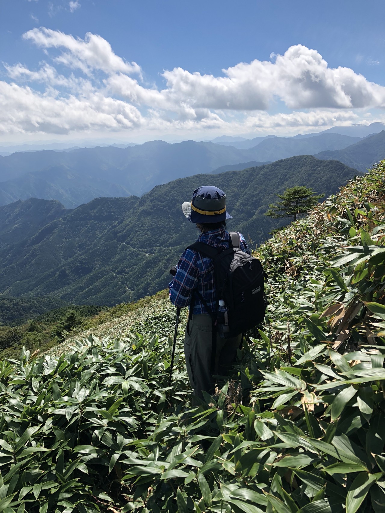 ta3netのページ | YAMAP / ヤマップ