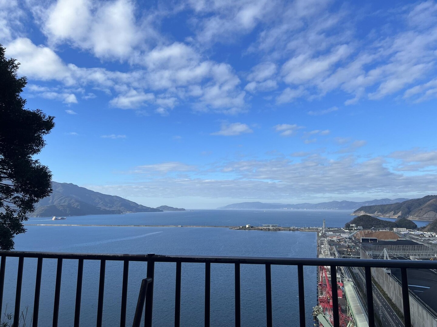 天筒山 / mai_funlifeさんの天筒山・中池見湿地の活動データ | YAMAP / ヤマップ