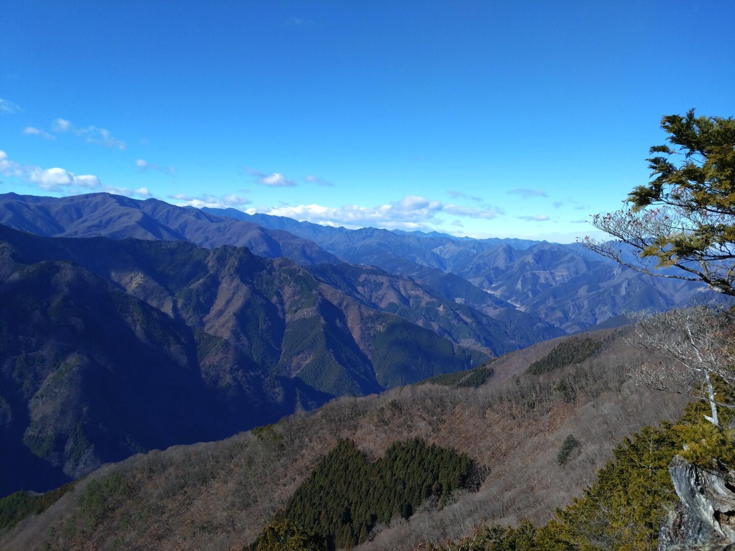 矢岳→酉谷山→熊倉山周回 / Yu-sanさんの雲取山・鷹ノ巣山・七ツ石山の活動日記 | YAMAP / ヤマップ