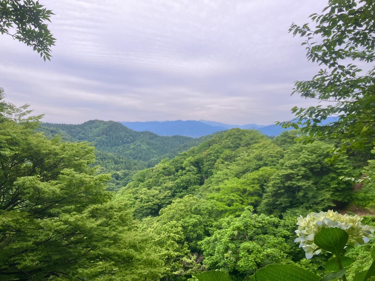 収穫の合間🏃‍♂️ ︎護摩堂山 / Naluさんの菩提寺山・高立山・護摩堂山の活動データ | YAMAP / ヤマップ