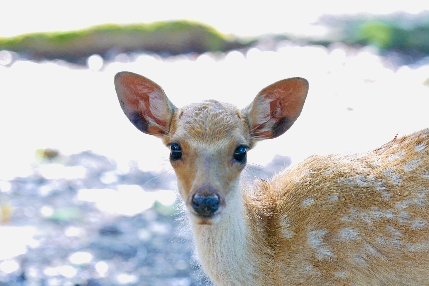 paoのページ | YAMAP / ヤマップ