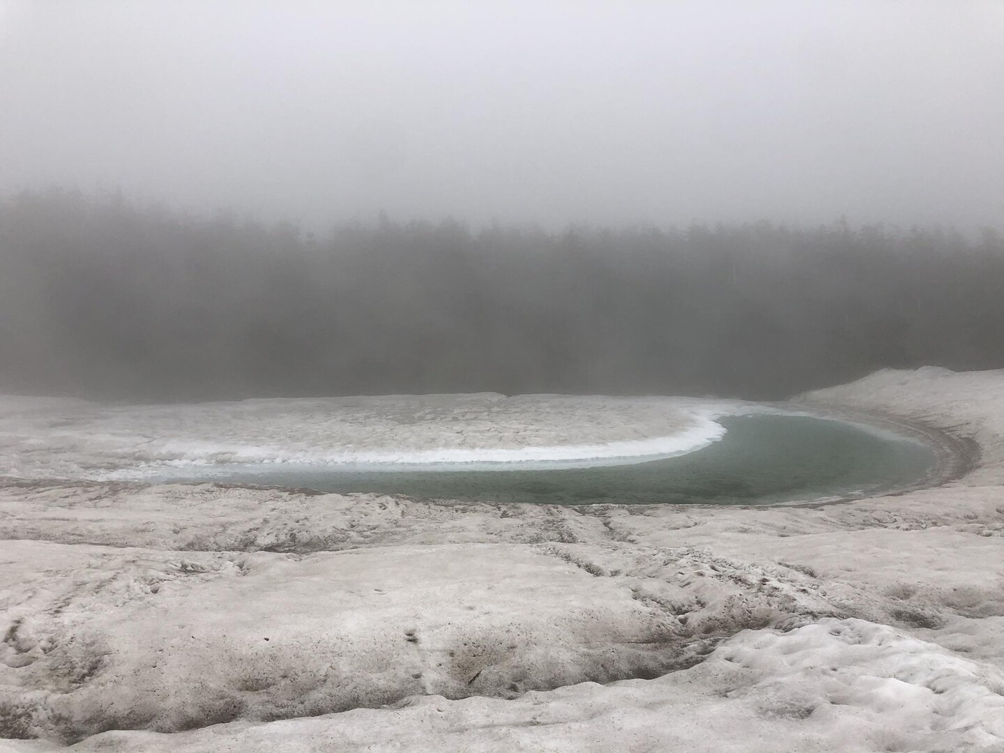 38．八幡平 / kismotさんの岩手山・八幡平・安比高原 50km トレイルの活動データ | YAMAP / ヤマップ