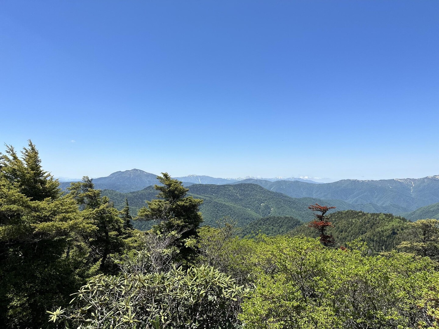 悠汰さんの投稿したフィールドメモ | YAMAP / ヤマップ