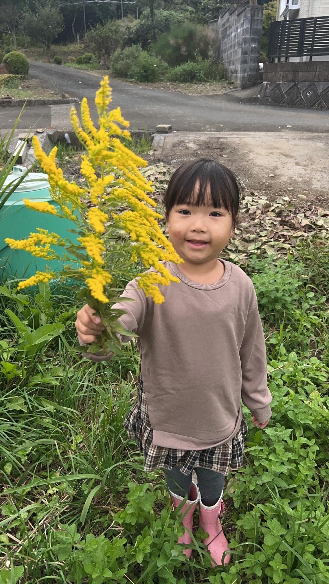 チハルとハクサイとキャベツの植え付けをし... / YA –YAMAさんのモーメント | YAMAP / ヤマップ