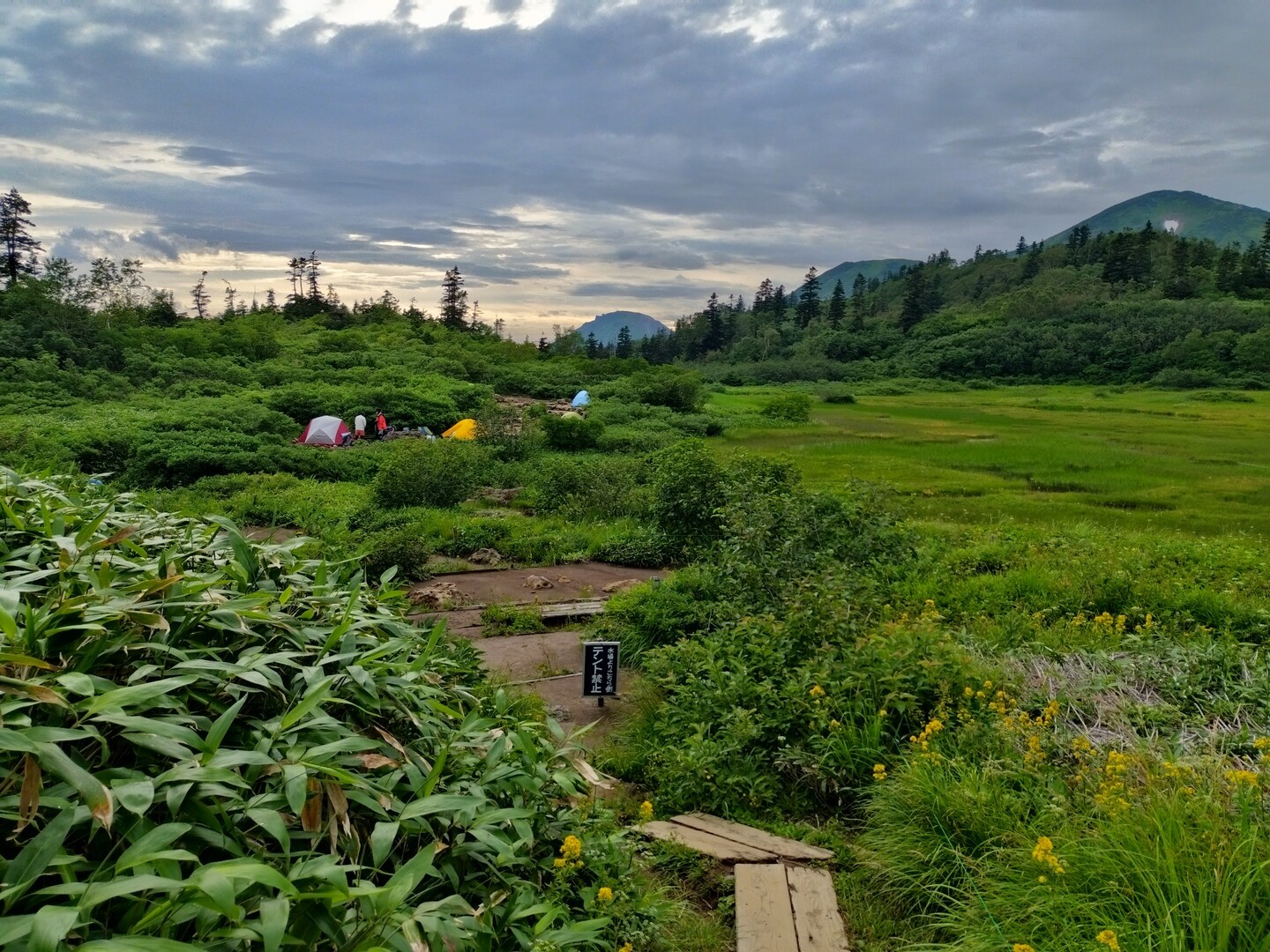 茶臼山・妙高山（北峰）・妙高山（南峰） / hamu🌷hamuさんの妙高山・火打山の活動データ | YAMAP / ヤマップ