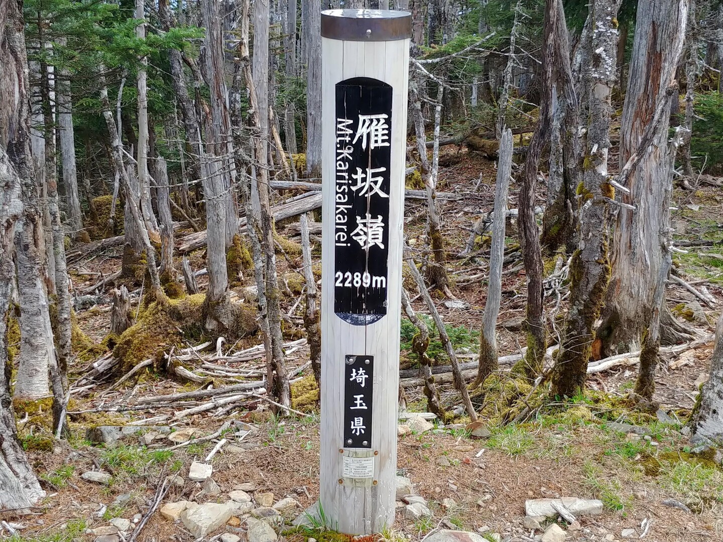 雁坂嶺 / nanaさんの甲武信ヶ岳の活動データ | YAMAP / ヤマップ