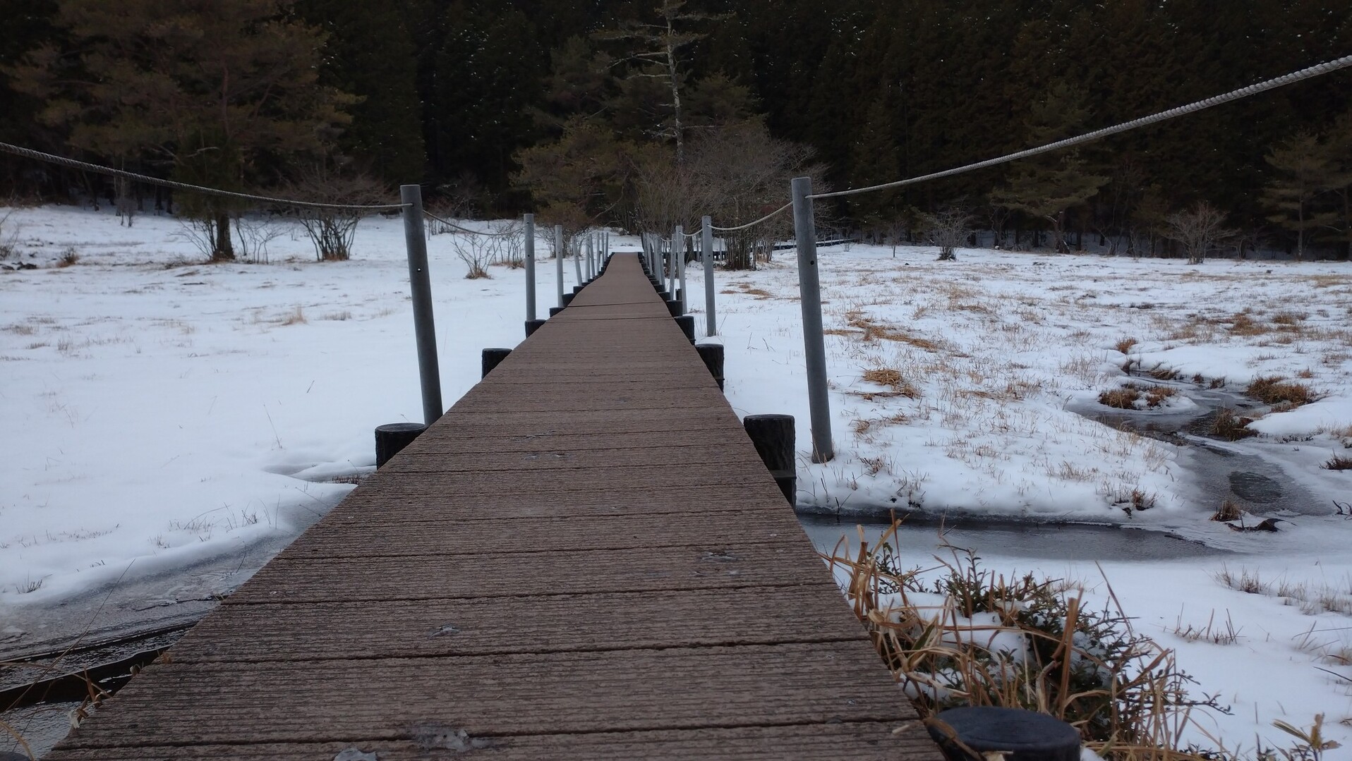 黒の田東湿地へ山納め / MAKKOさんの屏風山の活動データ | YAMAP / ヤマップ